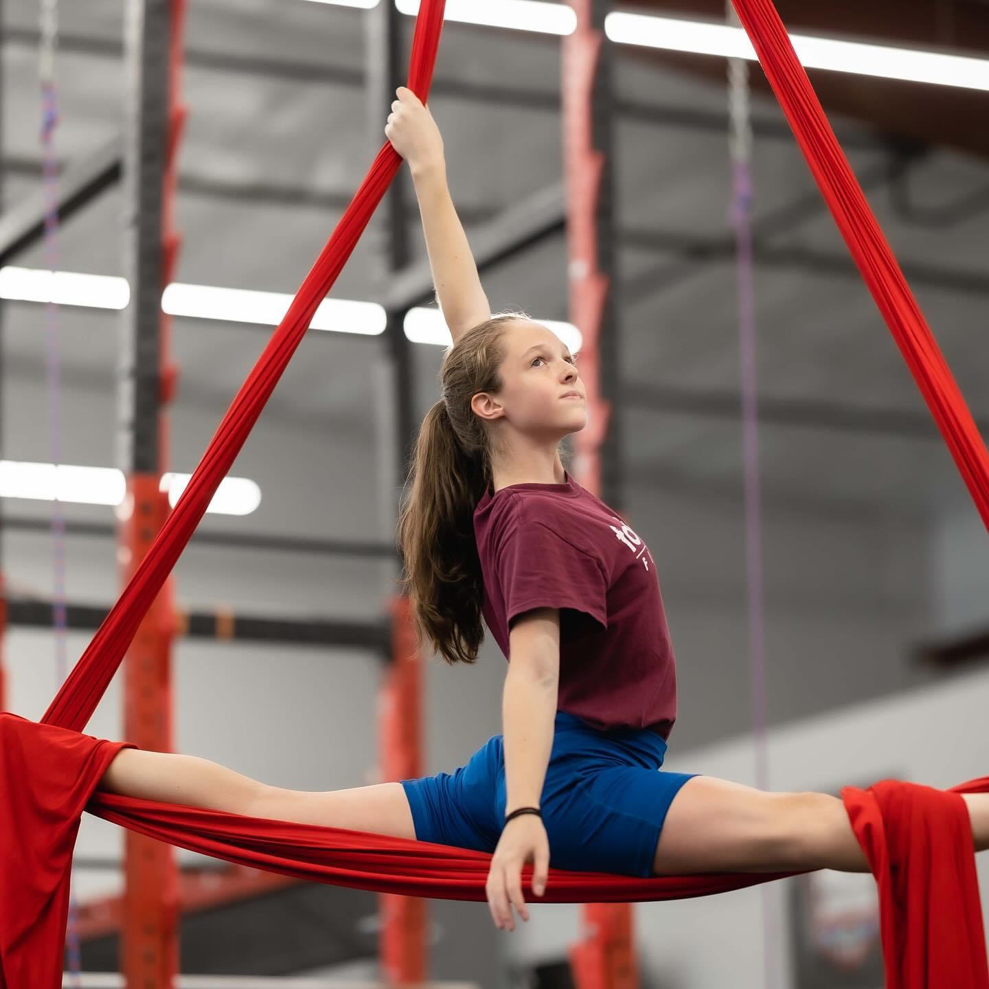 Aerial Silks - Fortified Fitness